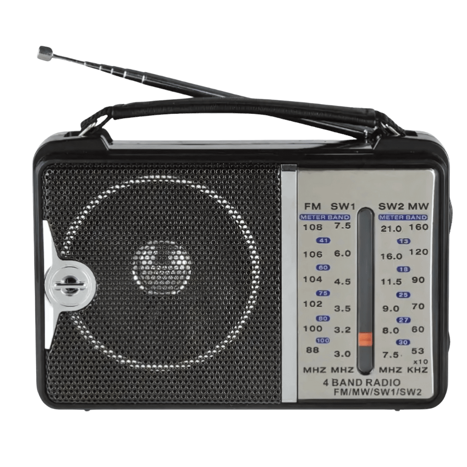 Den-B/ MSD High Quality FM Radio